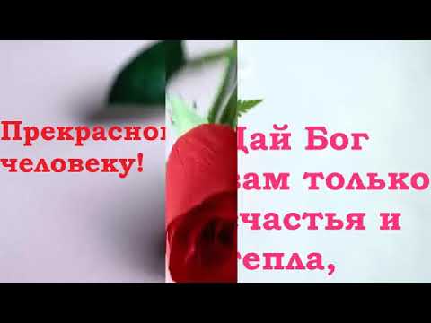 Gul haqqinda rus/azeri dilinde ela melumat