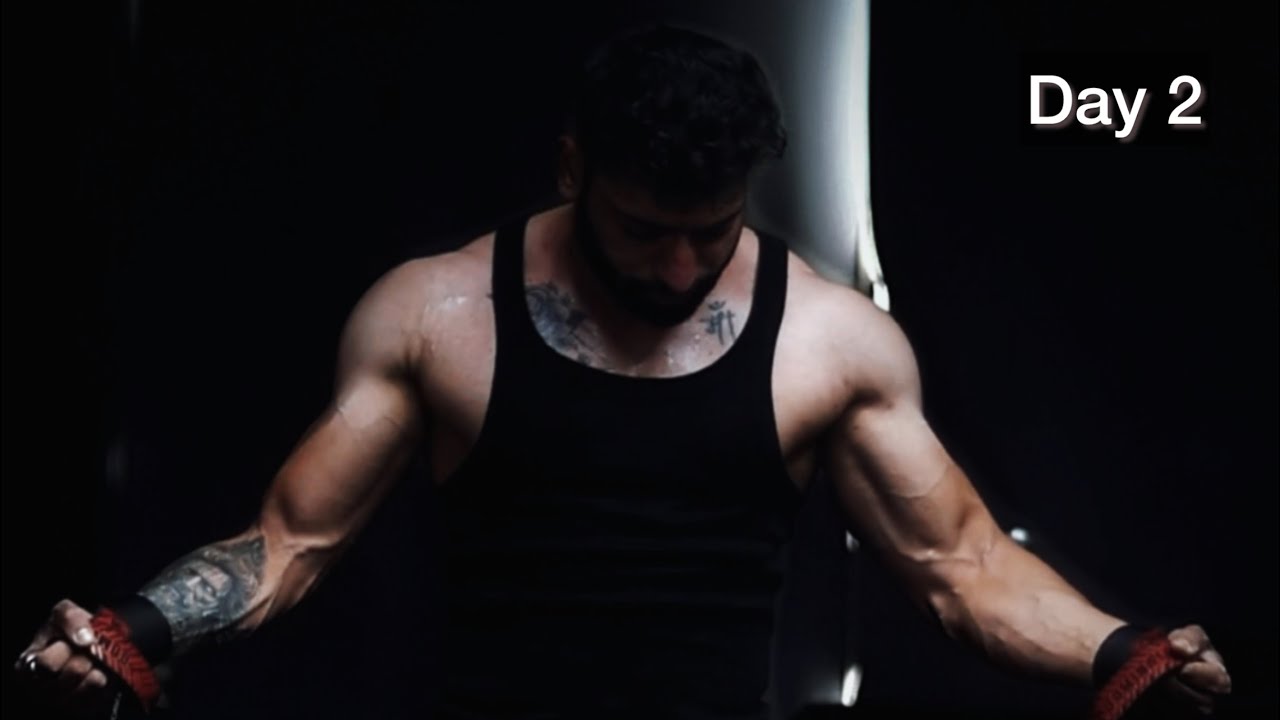 WINTER ARC BACK WORKOUT - YouTube