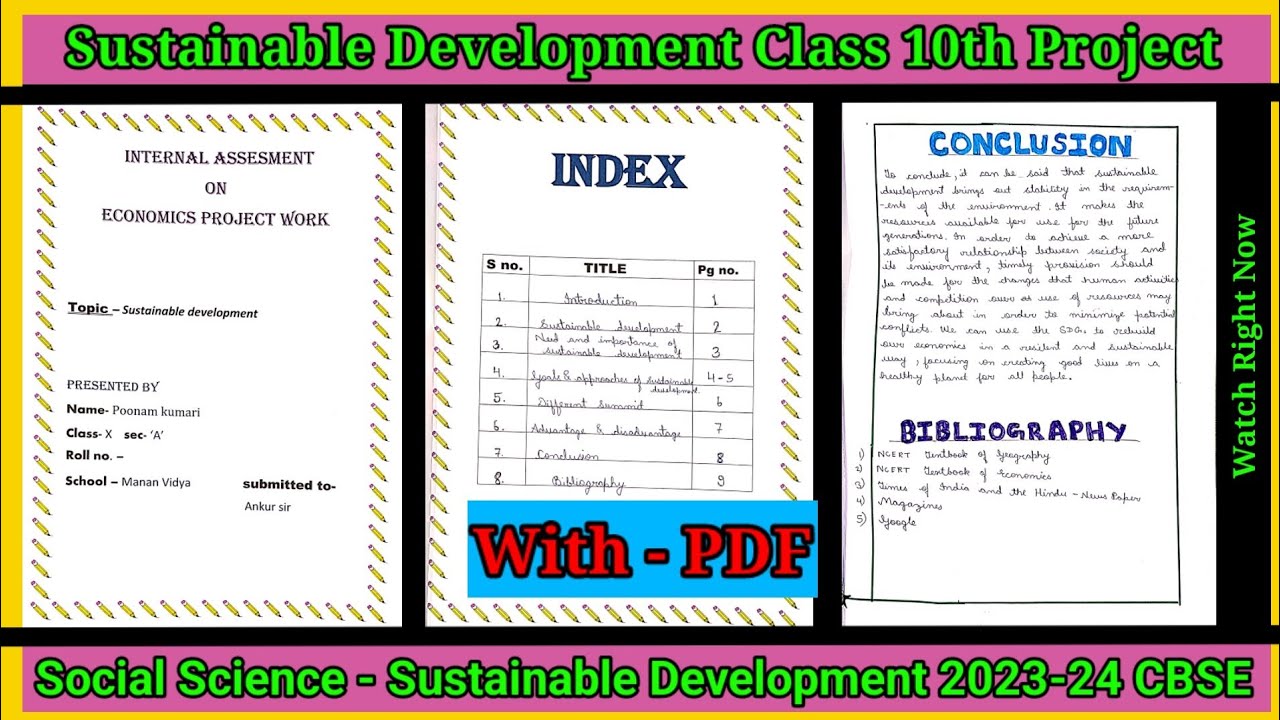 sustainable development project class 10 PDF | Social Science Project ...