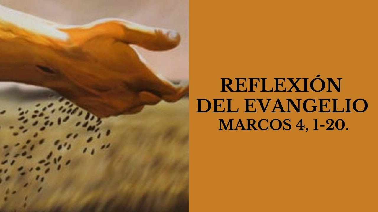 Reflexión del evangelio (Marcos 4, 1-20) - YouTube