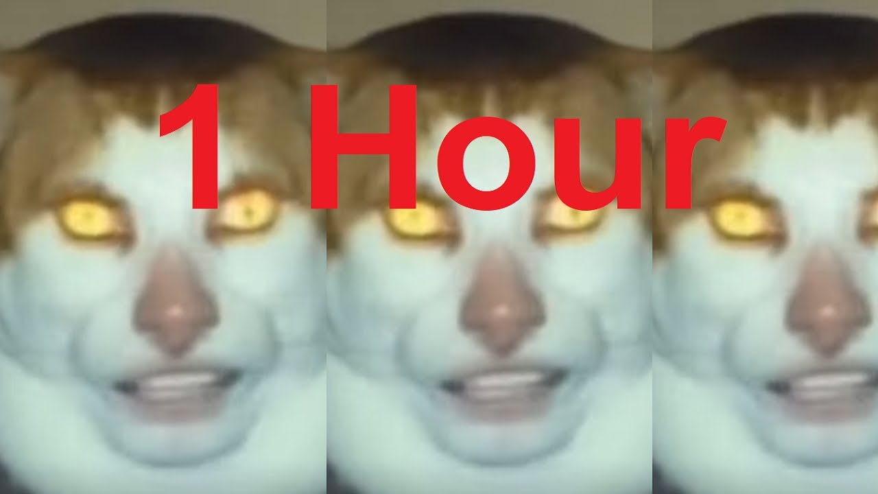 Waiting For Love Meme (1 Hour) - YouTube