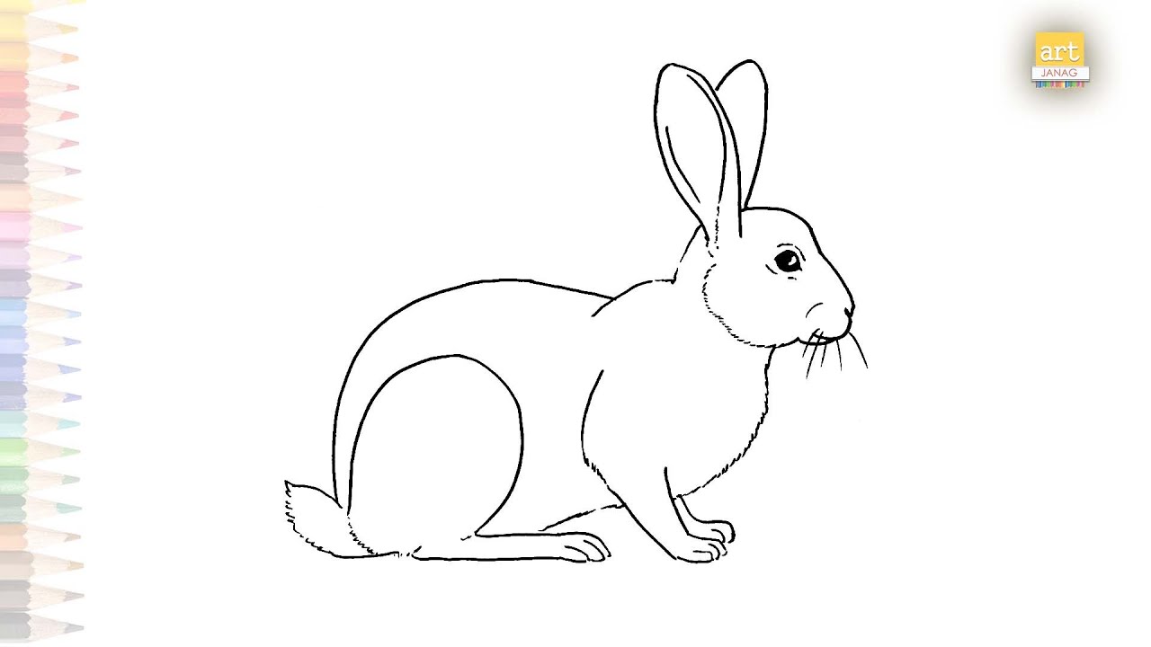 Rabbit easy drawing | Art tutorial | How to draw A Rabbit step by step ...