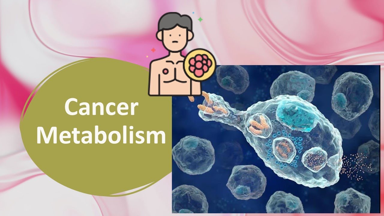 Cancer Metabolism Explained: How Cancer Cells Differ from Normal Cells ...