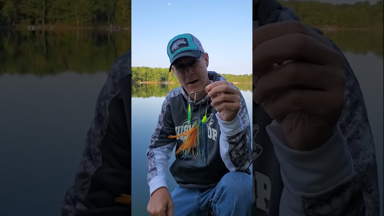 What Is A Rad Dog? - YouTube