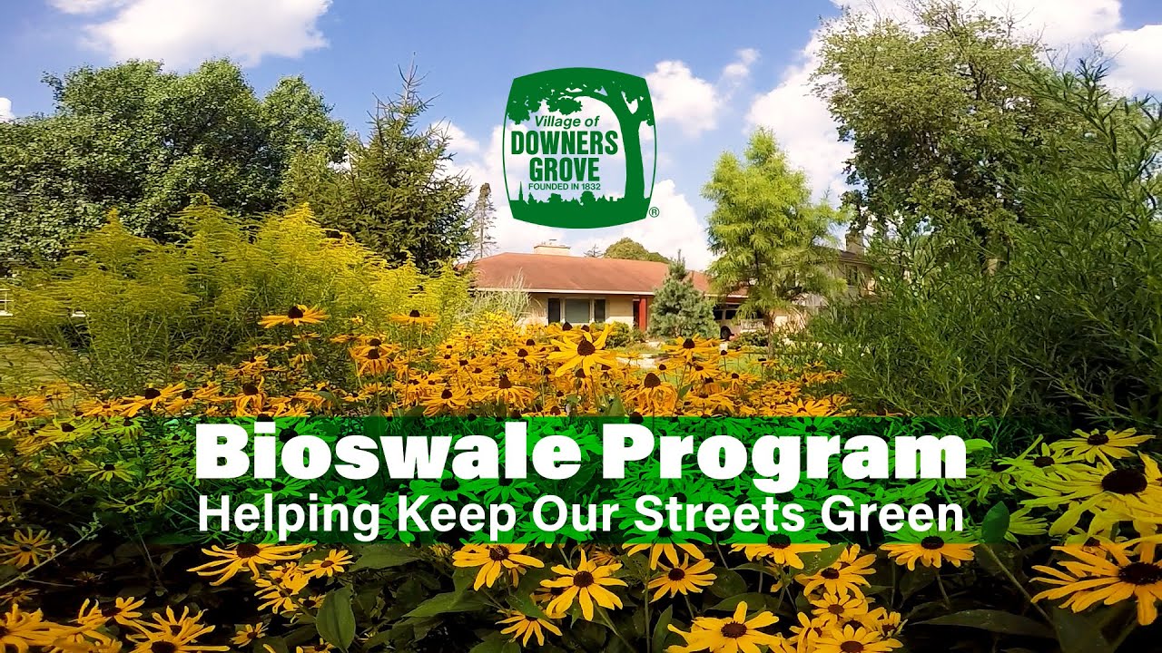 Bioswale Program - YouTube