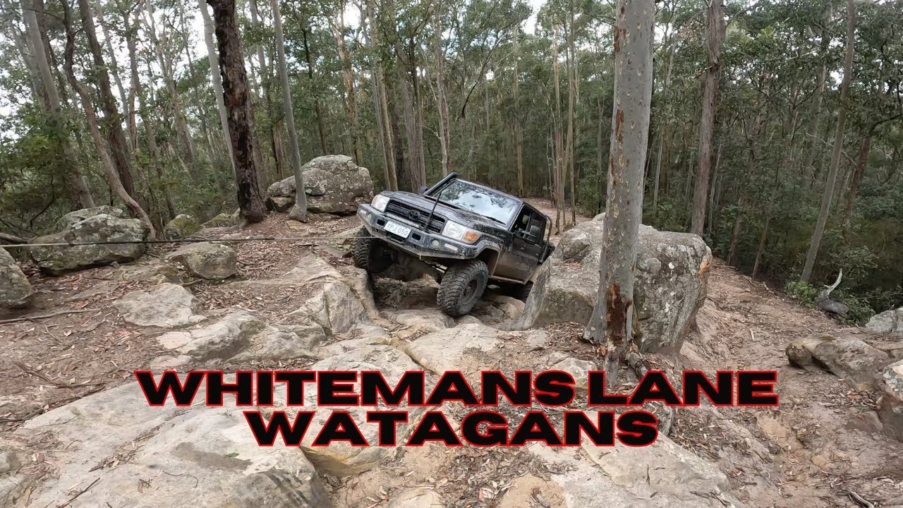 79 takes on whitemans lane | watagans 4x4 | - YouTube