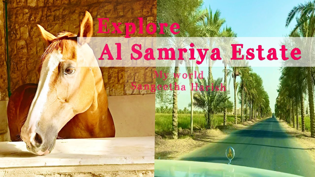 Exploring Al Samriya Estate / Exploring Qatar / Visiting Al Samriya ...
