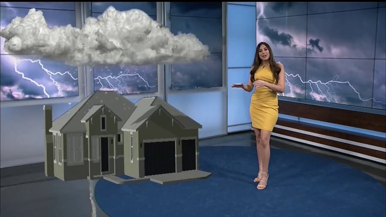 TANIA LEAL TELEMUNDO - YouTube