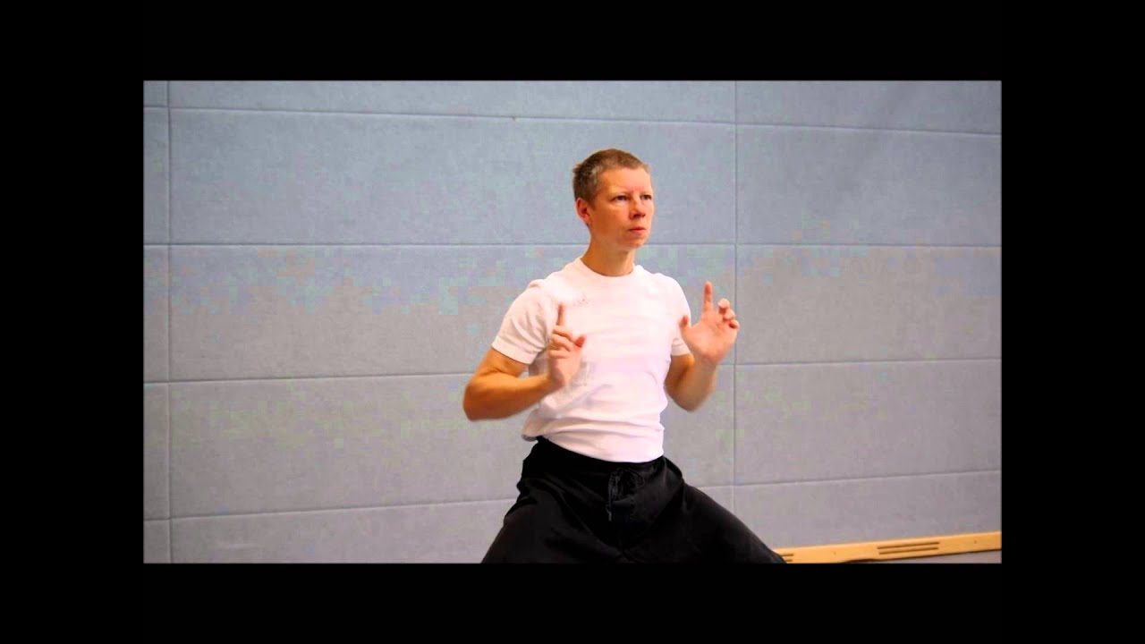 Kung Fu Oldenburg (Wushu 武术: Nanquan-Form, 南拳) - YouTube