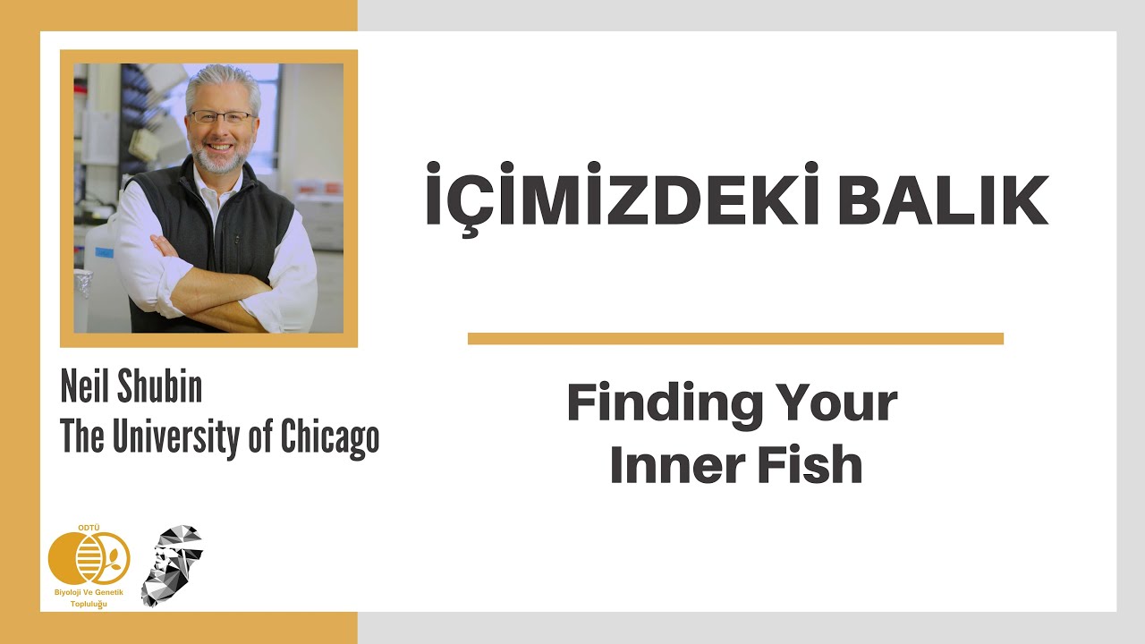 Neil Shubin - Finding Your Inner Fish - YouTube
