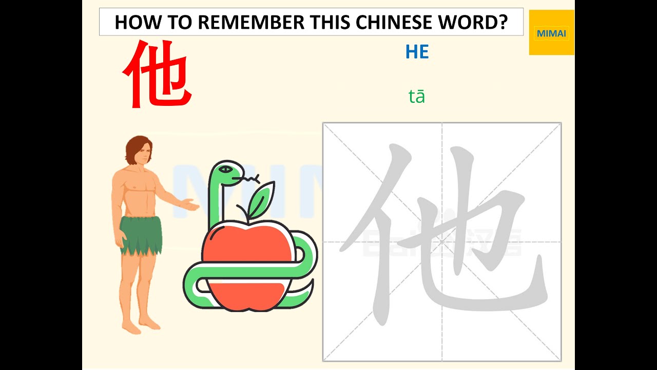 Remember writing Chinese character #他 #ta #he by images #HSK1 - YouTube