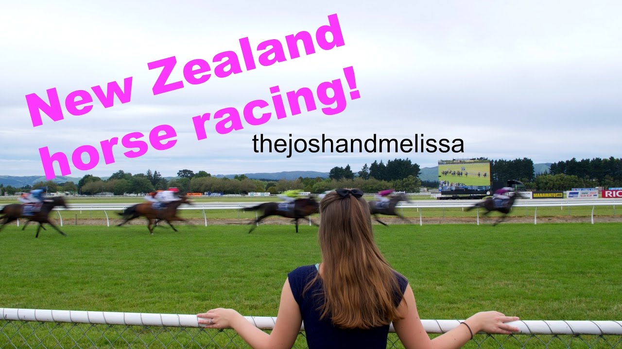 New Zealand Horse Racing! - YouTube