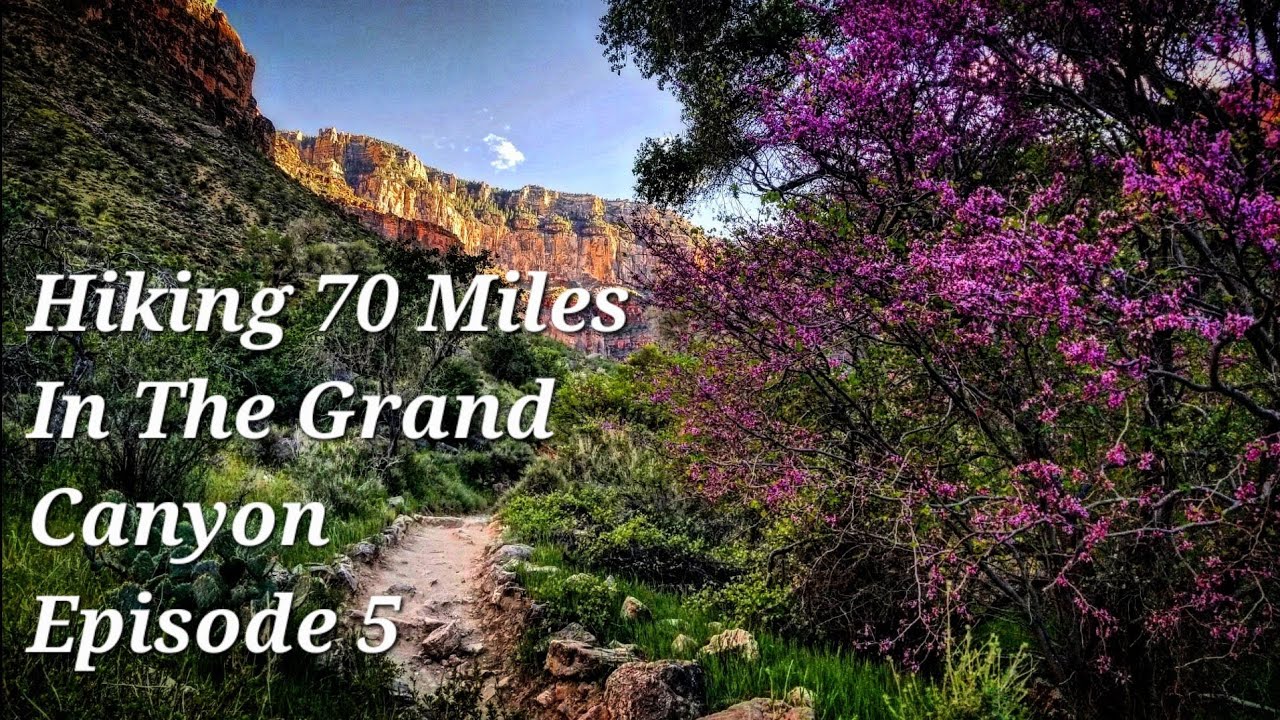 Hiking 70 Miles In Grand Canyon To Cheyava Waterfall 4 Night ...