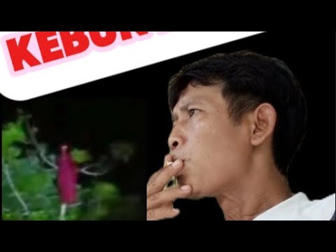 penelusuran kebun pisang d kejar kejar Kunti merah - YouTube