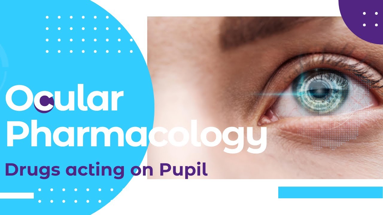 Ocular Pharmacology | Ocular therapeutics | Drugs acting on Pupil | Eye ...