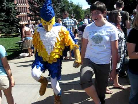 What Is A Blugold Mascot