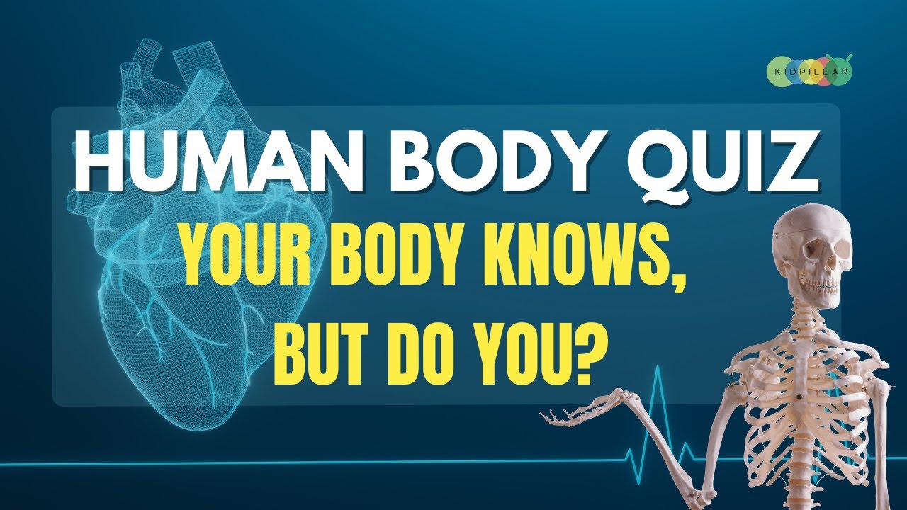 Human Body Quiz - Do you really know these human body facts? - YouTube