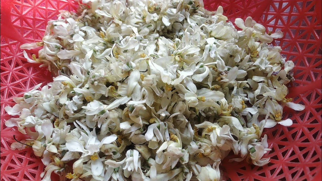 sajna ful vaja|dramstic flower fry|সজনে ফুল ভাজা#quickrecipe #fry #easy ...