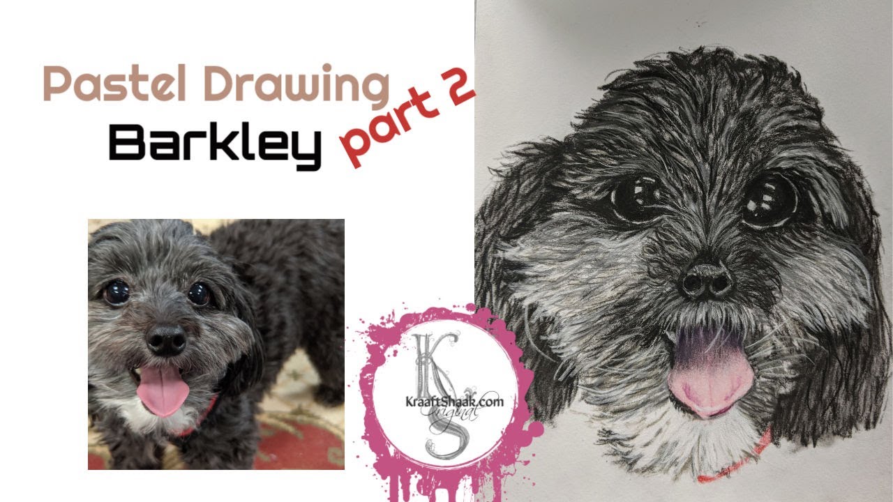 Pastel Pencil Drawing of Barkley part 2 - DailyArtAdventure Live Replay ...