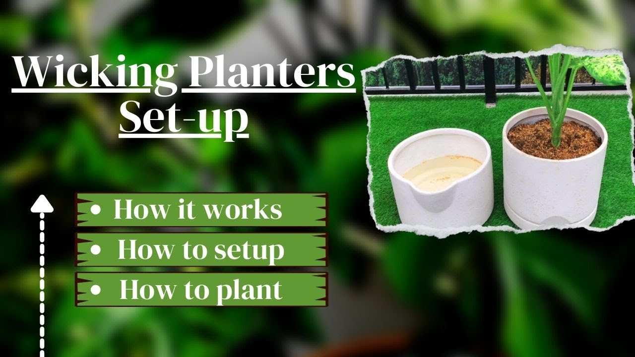 Wicking Planter Set-up - YouTube