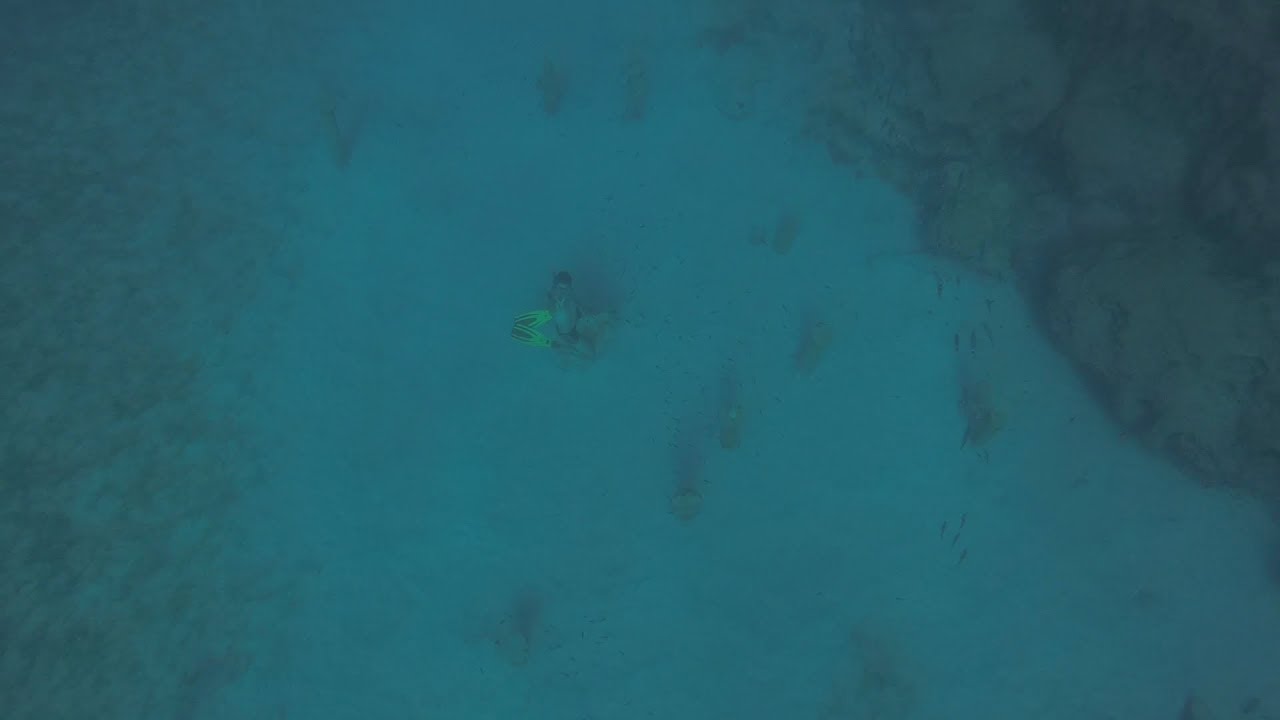 Freediving - Green Bay (Cyprus) Underwater sculptures, fish and scuba ...