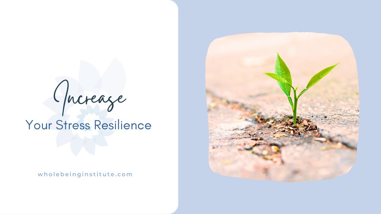 Increase Your Stress Resilience with Phoebe Atkinson - YouTube