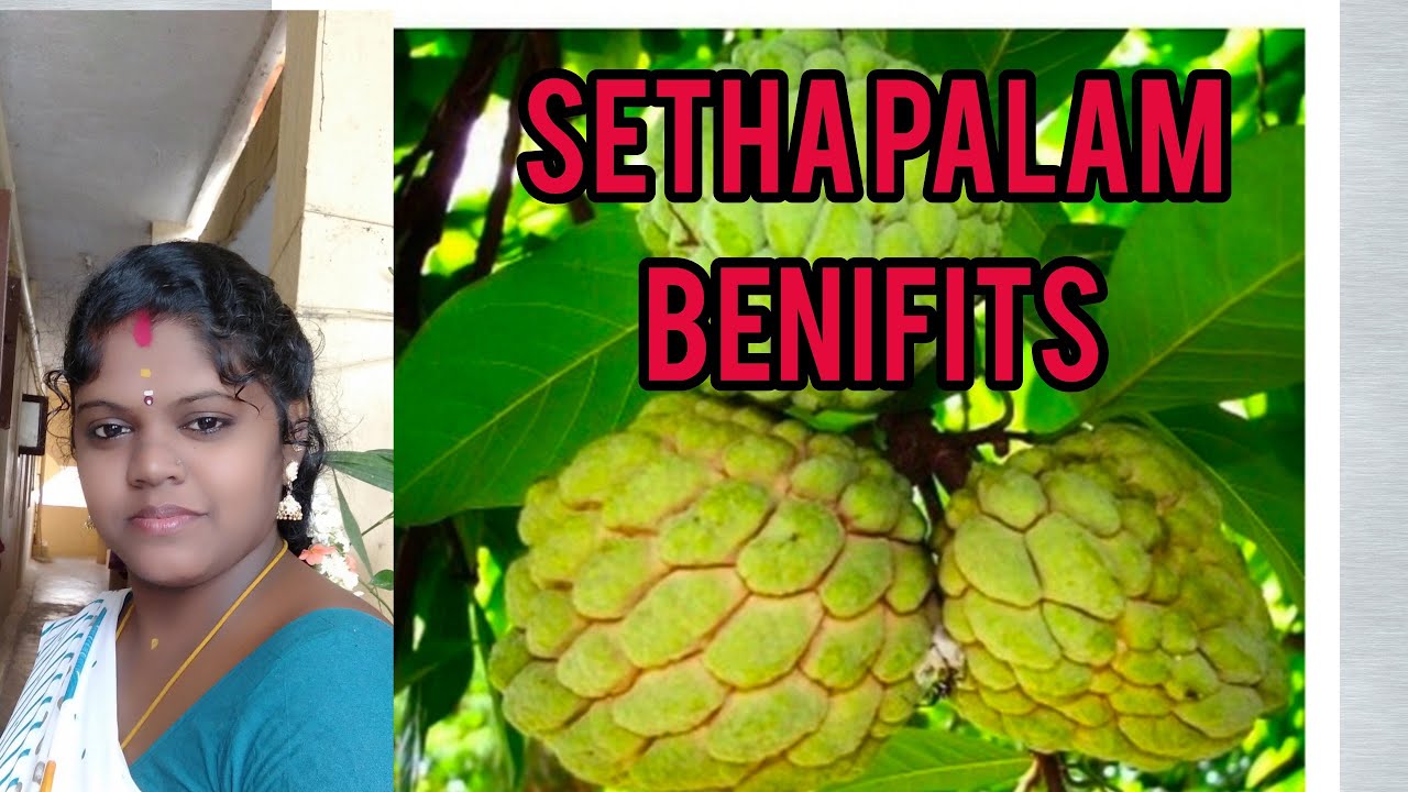seethapalam benifits - YouTube