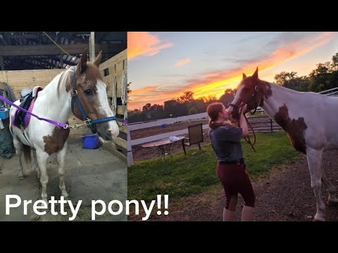 A evening ride on my pony! - YouTube