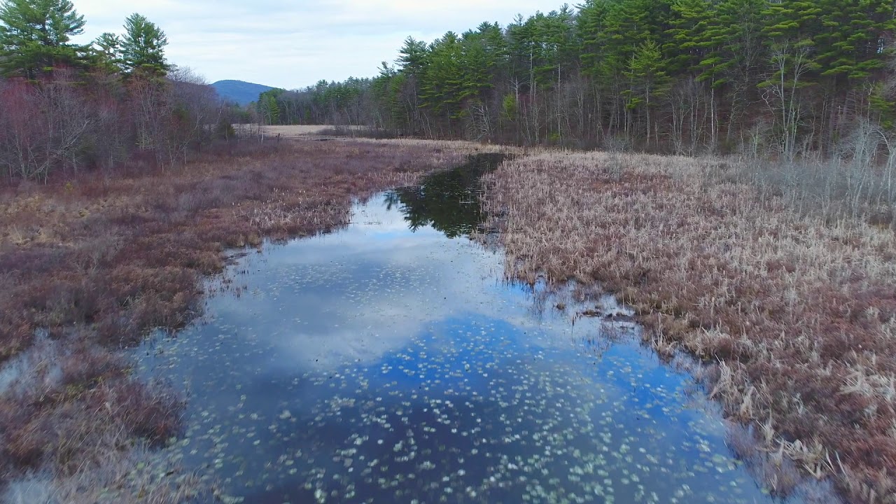Rush Pond Trail Marsh Aerial - YouTube