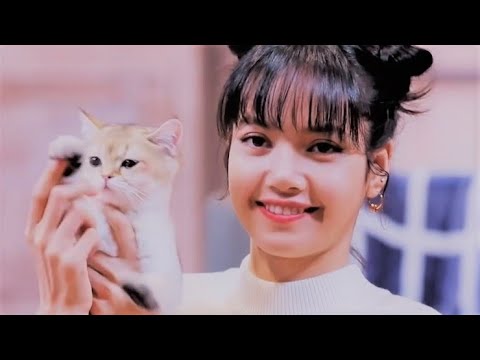 LISA takımına ''The Album'' hediye ediyor ( Youth With You 3 bölüm 22)