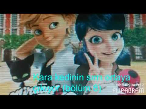 Kara kedinin sırrı ortaya çıkıyor (bölüm8)