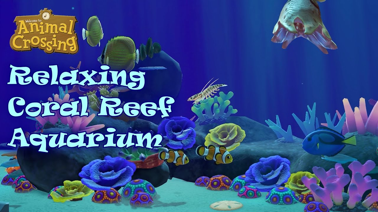 ASMR Animal Crossing - Coral Reef Aquarium OST Water Bubbles - YouTube ...