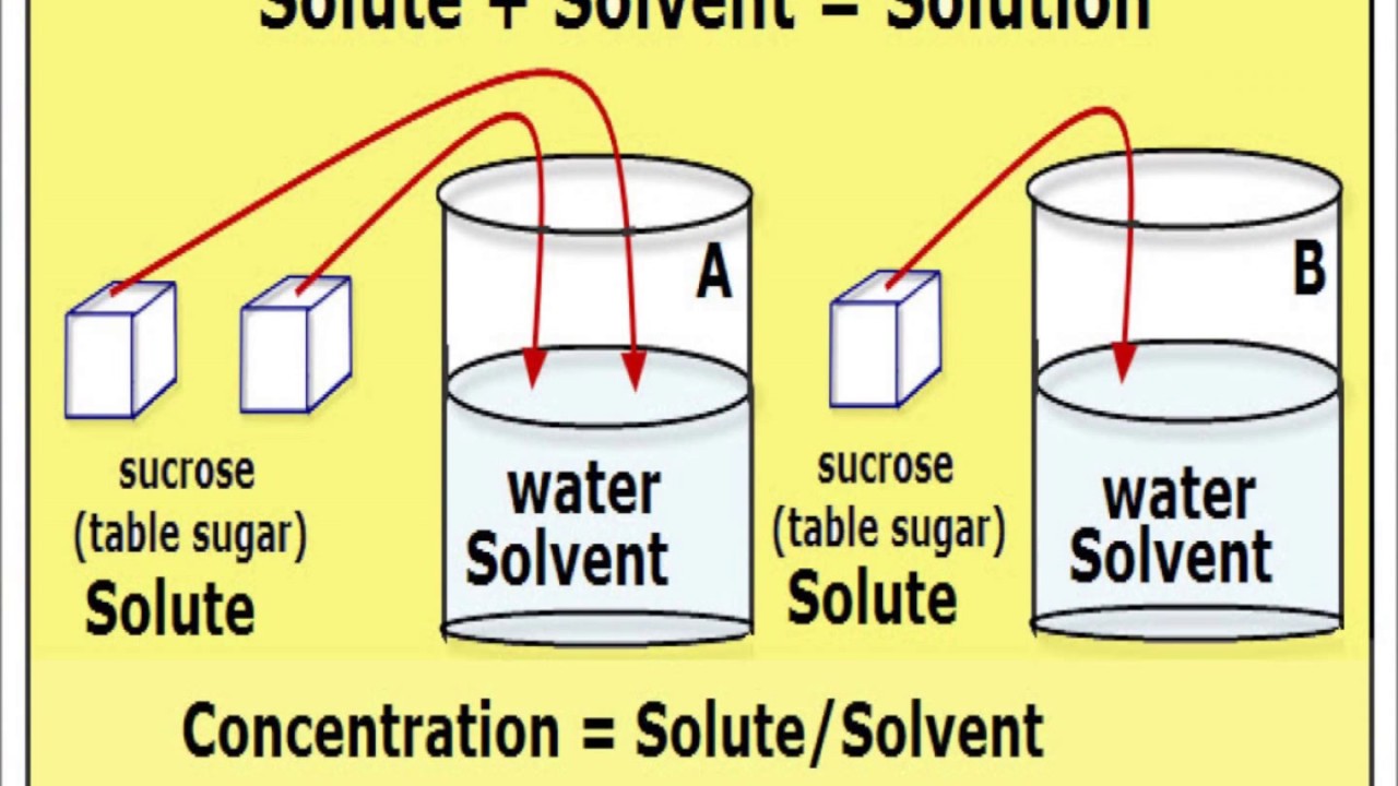 Lecture 5 Liquid State - YouTube