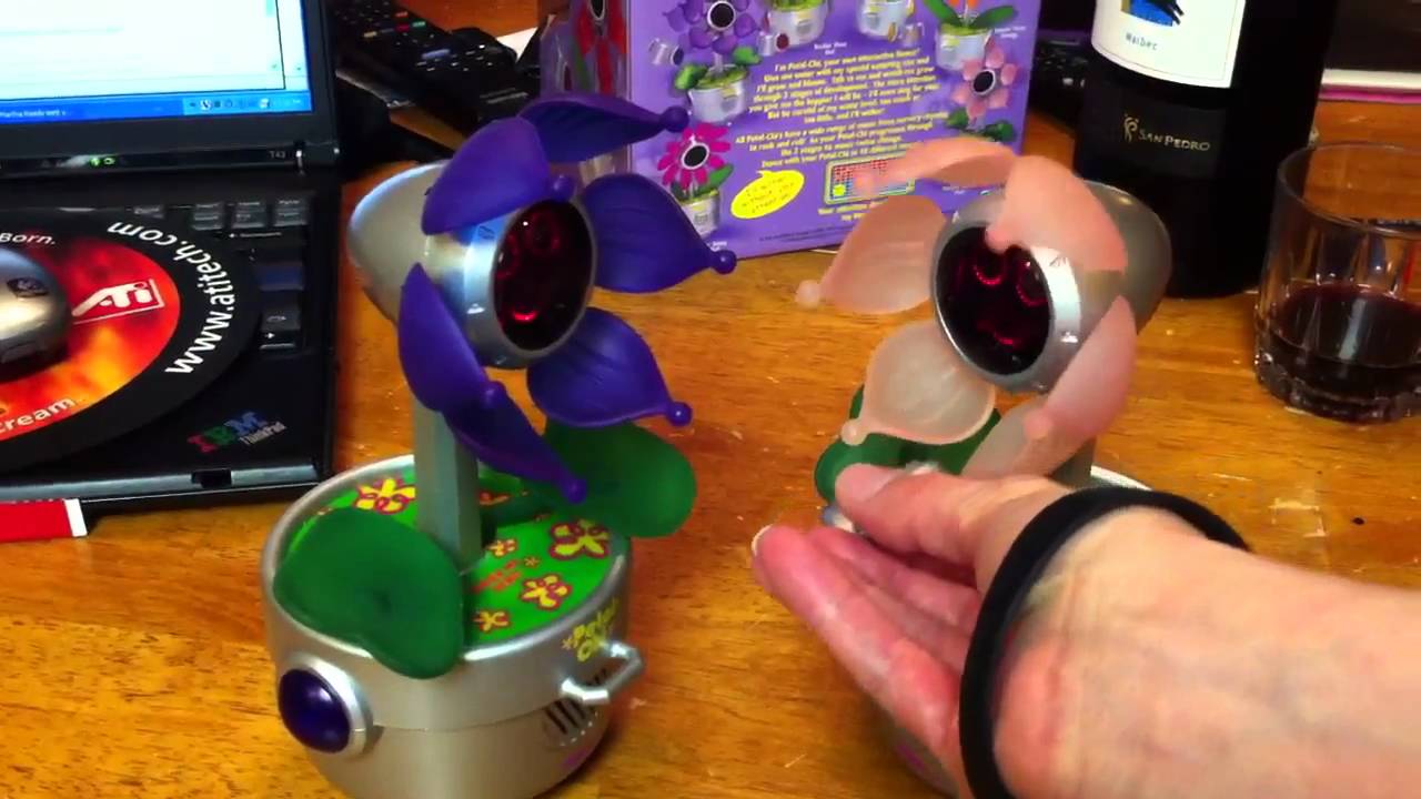 Petal-Chi - YouTube