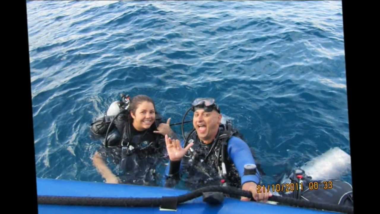 Diving Down Under - YouTube