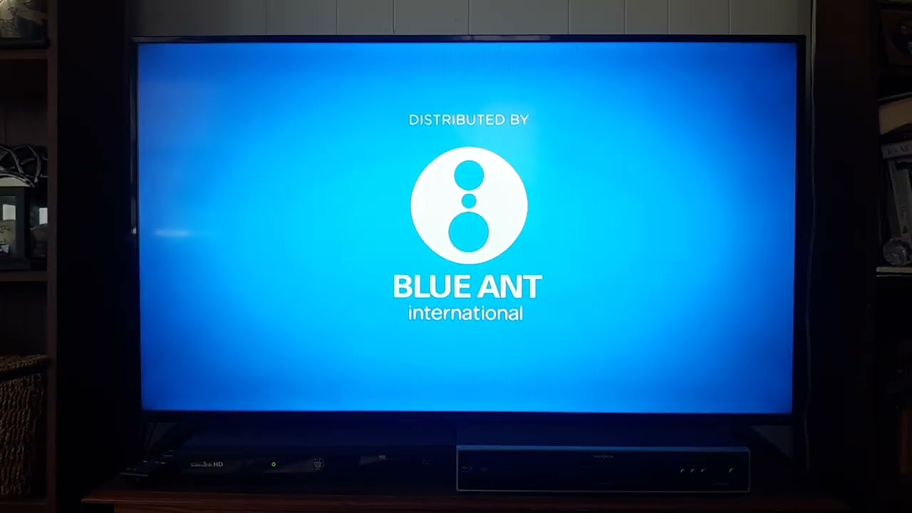 Blue Ant International/Arcadia Content/Hearst Media Production Group ...