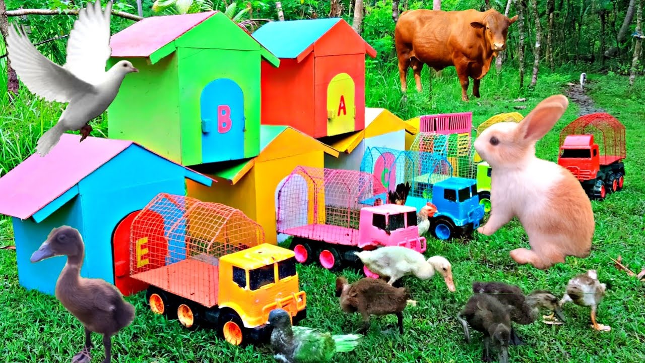 TRUCK OLENG ANGKUT BEBEK LUCU,SAPI WARNA,INDUK SAPI,GAJAH,KERBAU ...