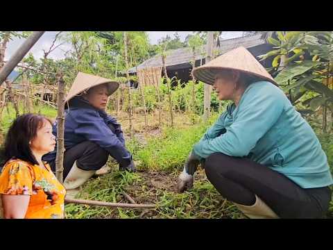 Ms. Nghiep found it strange that Tuyet had no close relatives coming to visit her