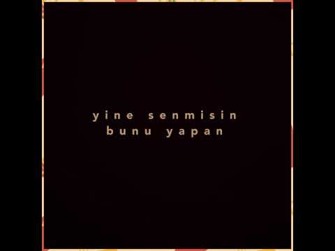 Yine senmisin bunu yapan