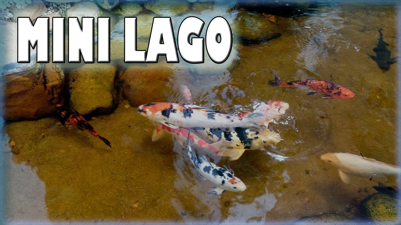 MINI LAGO DE JARDIM - LAGO ARTIFICIAL - YouTube
