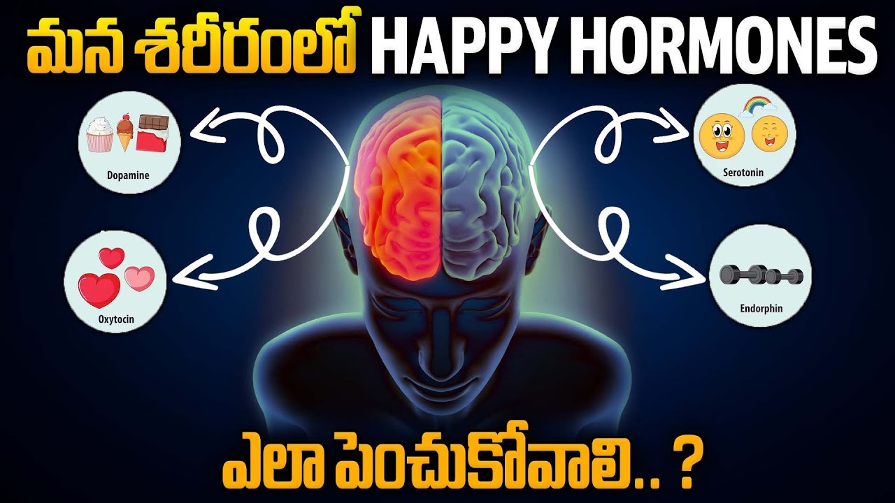 How To Increase Happy Hormones In Brain | How To Boost Happy Hormones ...