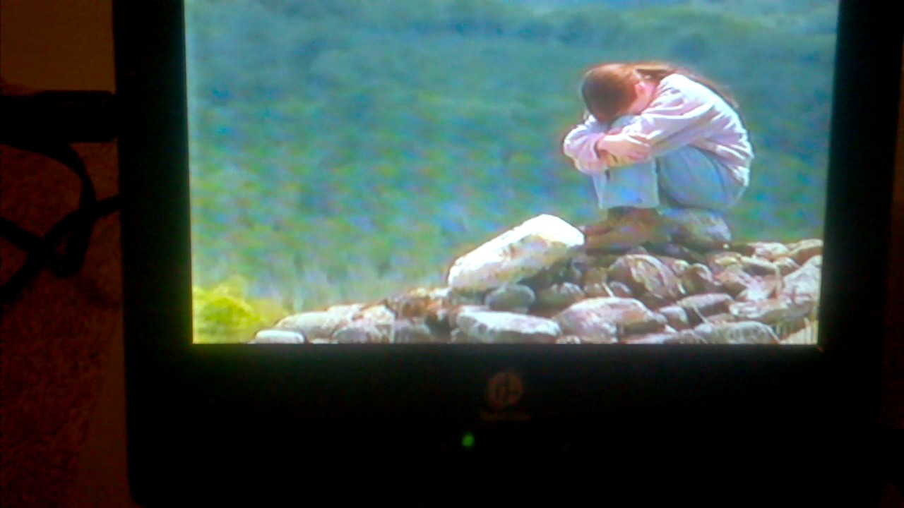 Fly Away Home 1996 Part 9 - YouTube