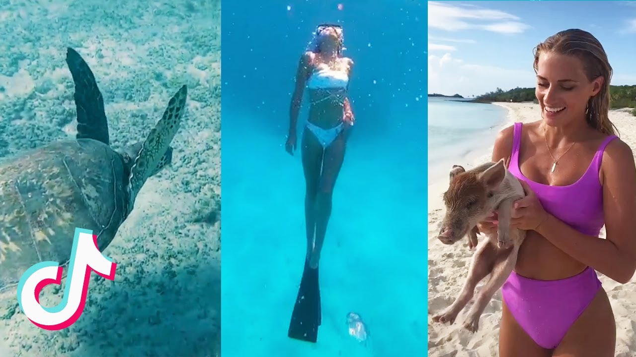 Unbelievable Things in Ocean (Coastal, Diving, Scuba Diving) TikTok Compilation #6 - YouTube