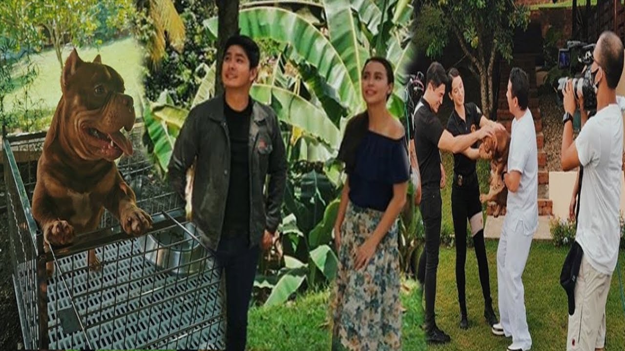 Alagang Aso ni Cardo Dalisay artista na, may special participation sa ...