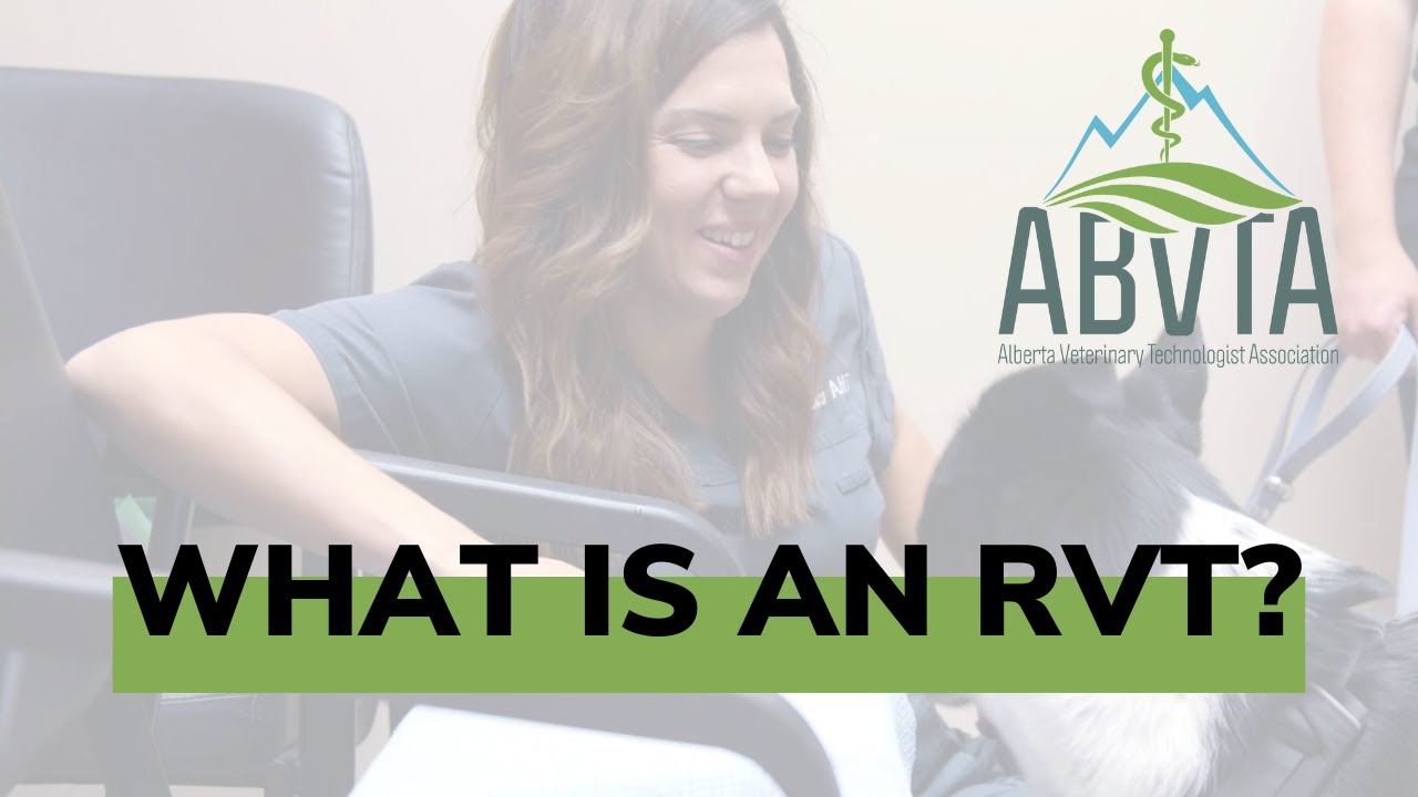 What is an RVT? - YouTube