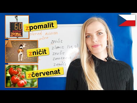 Z(e)- as a Czech Verb Prefix ✨