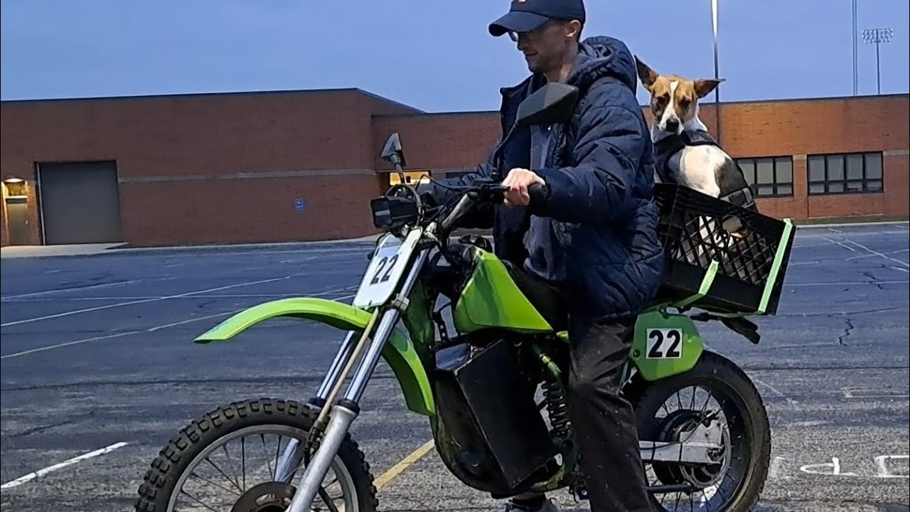 Dog riding on back on my electric dirt bike training part 1. #doglife ...
