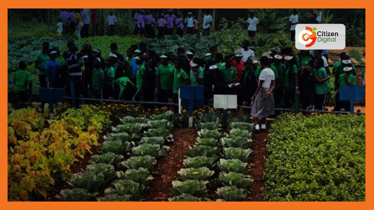 Kilimo Biashara | Maonyesho ya kilimo Nairobi - YouTube