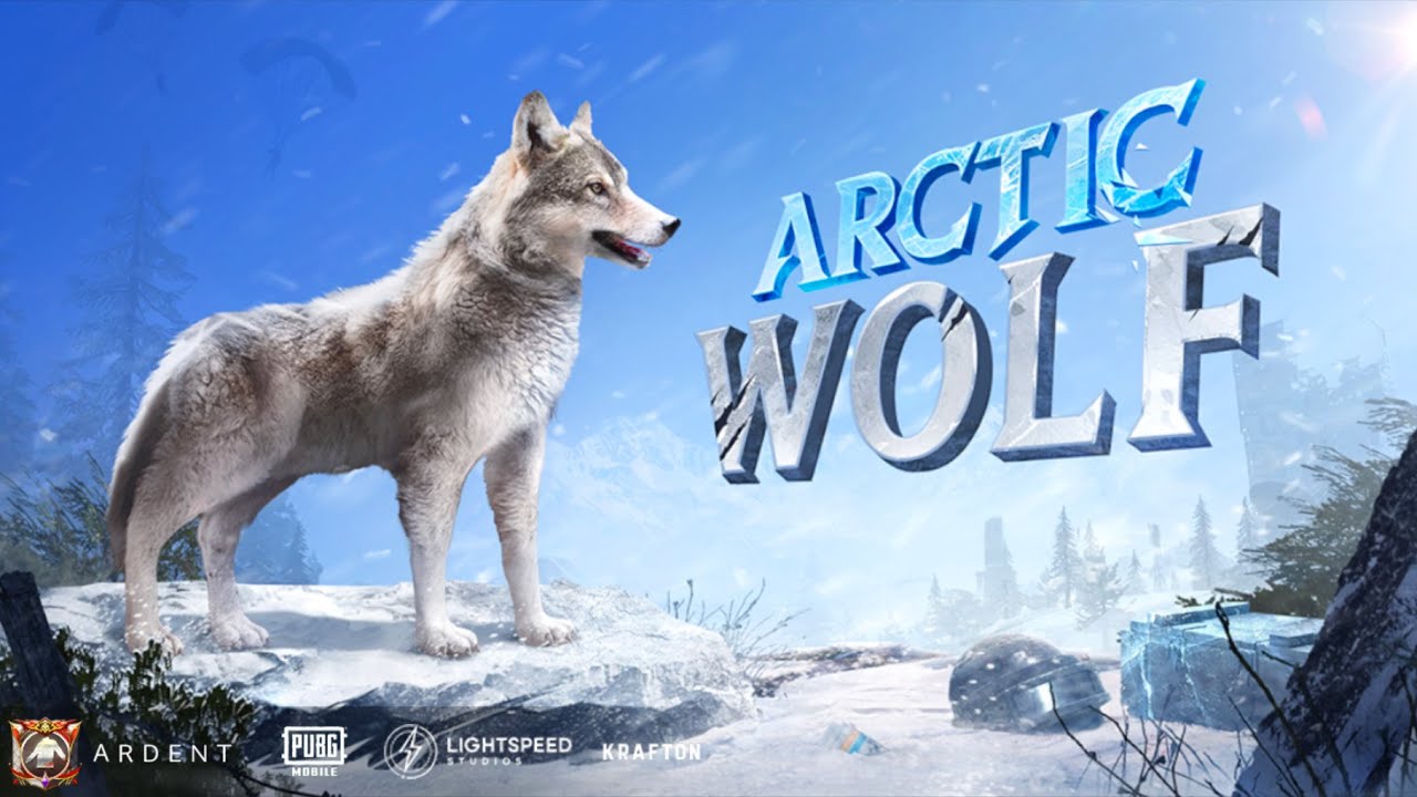 Got Arctic Wolf Companion In PUBG Mobile - YouTube