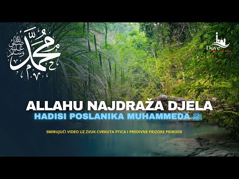 Allahu Najdraža Djela – Hadisi Poslanika Muhammeda ﷺ 🌿✨